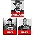 Amazon.com: Black Leaders, African American Wall Art Prints - 3-8x10 ...