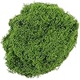 Amazon.com: WAGA Fake Moss,Plastic Artificial Moss,Realistic Looking ...