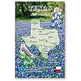 Amazon.com : TEXAS MAP postcard set of 20 identical postcards. TX state ...