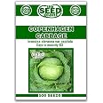 Amazon.com : Copenhagen Cabbage Seeds - 500 Seeds Non-GMO : Patio, Lawn ...