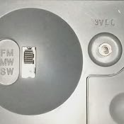 Philips DL167/94 FM Radio: Amazon.in: Electronics