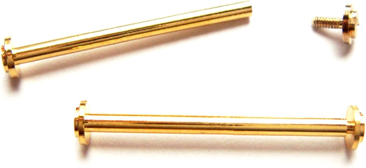 Amazon.com: Screw-in Lugs Gold Plated 16 Millimeters for Watch Bands ...