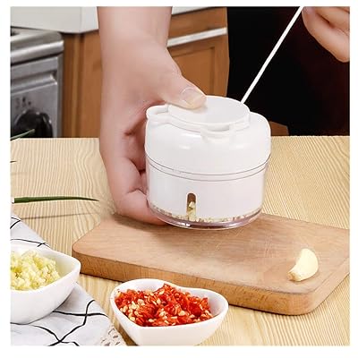 Buy ErYao Mini Manual Garlic Chopper, Hand Pull Food Processor Garlic ...
