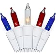 Amazon.com: MULTI-SPARKING Patriotic String Lights 35 Count - Clear ...