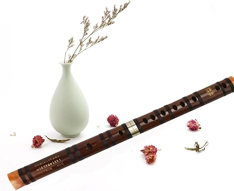 Amazon.com: Flute Etudes,Chinese Bamboo Flute Music Fife Flute and ...