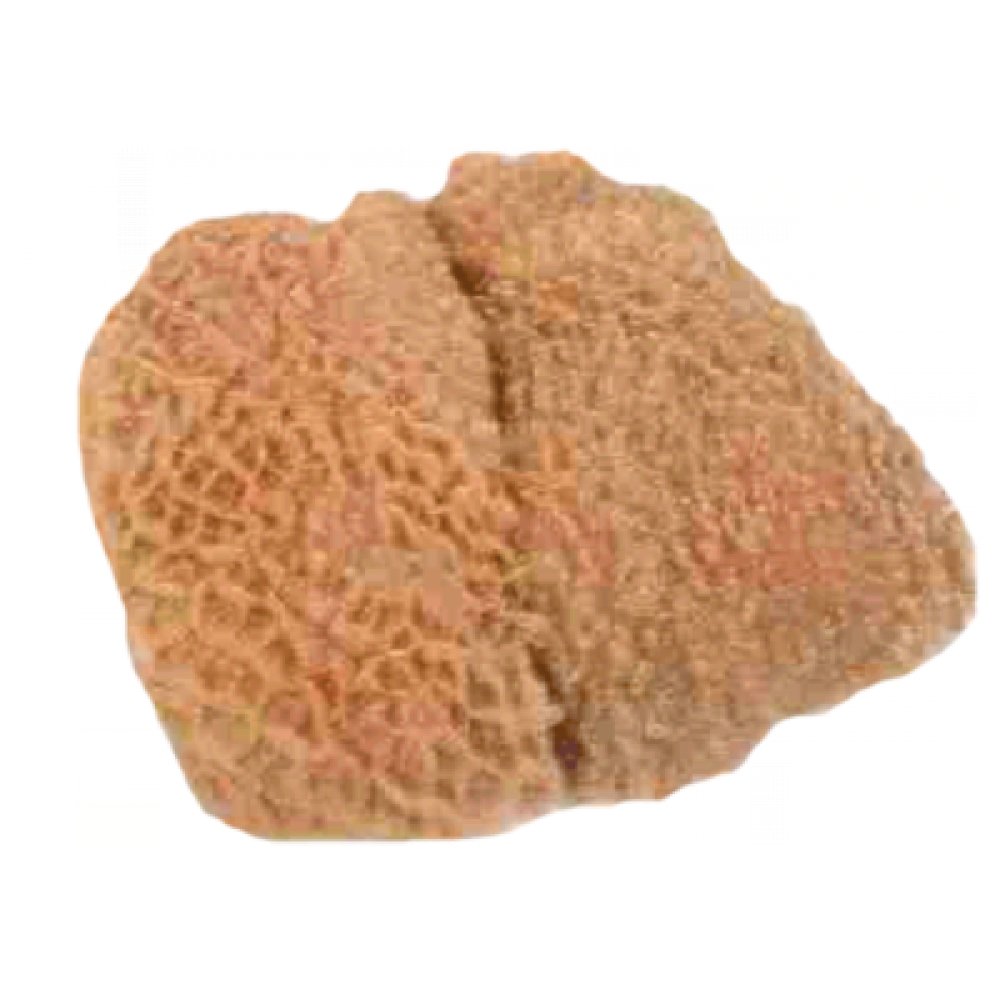 Pansen vom Rind, schlachtfrisch, gut gereinigt, 2 Kilo: Amazon.de ...