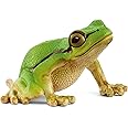 Amazon.com: Schleich Wild Life - 3" European Tree Frog Toy Figurine. Realistic Hand-Painted ...