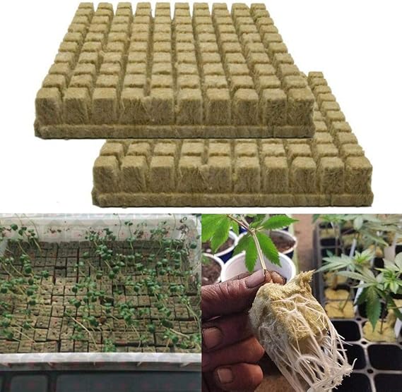 50PCS Rockwool Sheet Block Propagation Cloning Seed Cubes Raising ...
