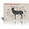 Amazon.com: Furtosyna Venison Deer Butcher Processing Chart Laminated ...