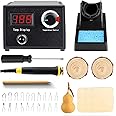Amazon.com: Upgraded Wood Burning Kit Temperature Adjustable Pyrography ...