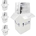 Amazon.com: 7x6x10” Small Insulated Shipping Box, Perishable Shipping ...