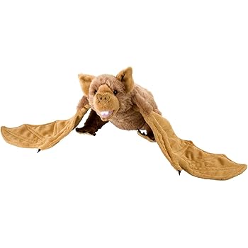 Amazon.com: Wild Republic Vampire Bat Plush, Stuffed Animal, Plush Toy ...