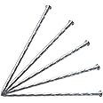 Amazon.com : EISENSP 10-inch Spiral Metal Landscape Edging Spikes ...