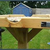 RSPB Open Bird Table: Amazon.co.uk: Garden & Outdoors