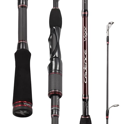 Cadence Vigor Spinning Rod, 30-Ton Carbon Blank, Fuji Reel Seat ...