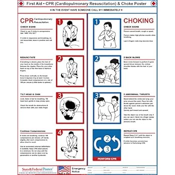 Amazon.com : CPR for Adults Poster - Laminated 24" x 30" : Office Products