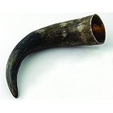 Amazon.com: 6-8" Polished Water Buffalo Horn: Sports & Outdoors