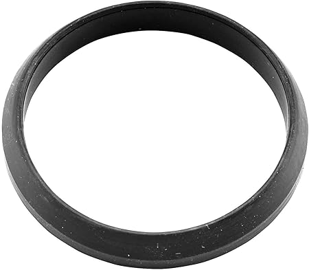 Amazon.com: INTAKE MANIFOLD SEAL (10): Automotive