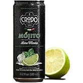 Amazon.com : Fonti Di Crodo Limonata Italian Lemonade, 4 Packs, No Preservatives, 44.8 Fluid ...