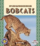 Bobcat Facts for Kids