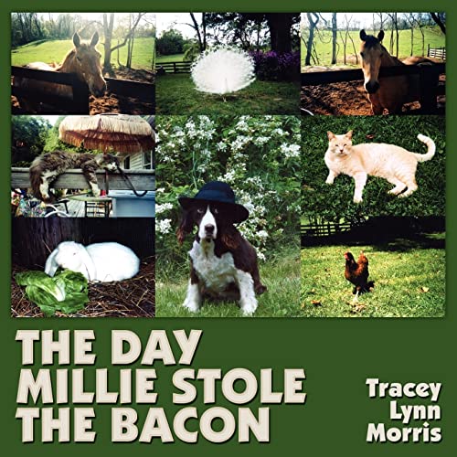 The Day Millie Stole the Bacon: Tracey Lynn Morris: 9781425929367 ...