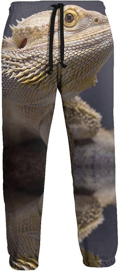 Cute Funny Bearded Dragon Lizards Animal Jogging Pants, Polyester ...