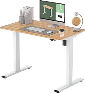 Amazon.com: FLEXISPOT EG1 Essential Standing Desk Height Adjustable ...