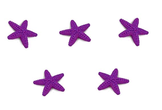 Amazon.com: Set of 12 Mini Starfish: Toys & Games