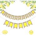 Amazon.com: LaVenty Burlap Lemonade Banner for Lemonade Stand ...