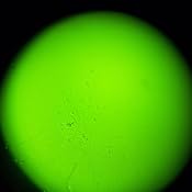 Babystart FertilFocus Ovulation Microscope: Amazon.co.uk: Health ...