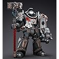 Amazon.com: HiPlay JoyToy Warhammer 40K Grey Knights Terminator Caddon Vibova 1:18 Scale ...