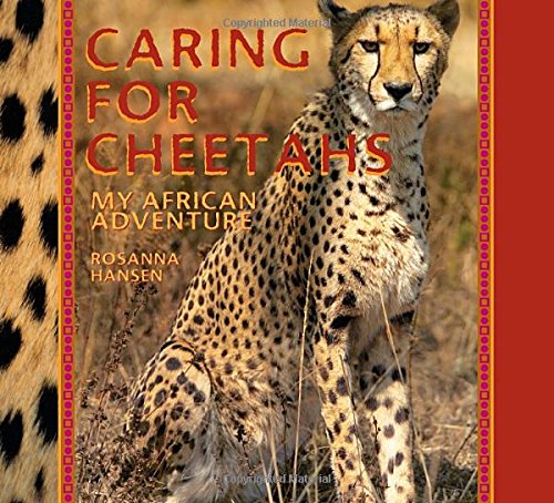 Caring for Cheetahs: My African Adventure: Hansen, Rosanna ...