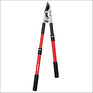 Amazon.com : Corona FL 3470 Compound Action Bypass Lopper with ...