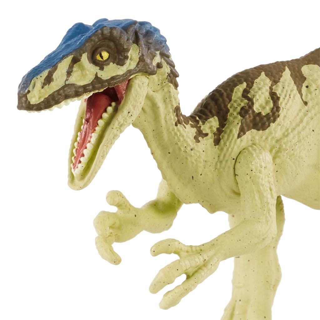 Mua Jurassic World Camp Cretaceous Attack Pack Coelurus Dinosaur Figure ...