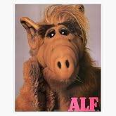 Amazon.com: MAGNET Alf Mugshot Magnetic Vinyl Sticker 5" : Automotive