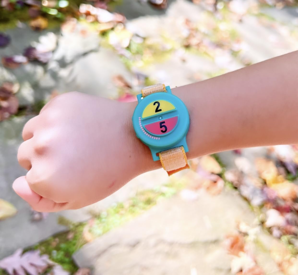 Mua BUDDY TIMER - Visual Timer for Toddlers - 2 and 5 Minute Preset ...