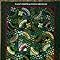 The Christmas Pickle (Quilt Pattern): Nancy Smith, Lynda Milligan ...
