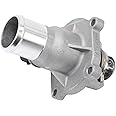 Amazon.com: GM Parts 25199829 Termostato de refrigerante del motor con ...