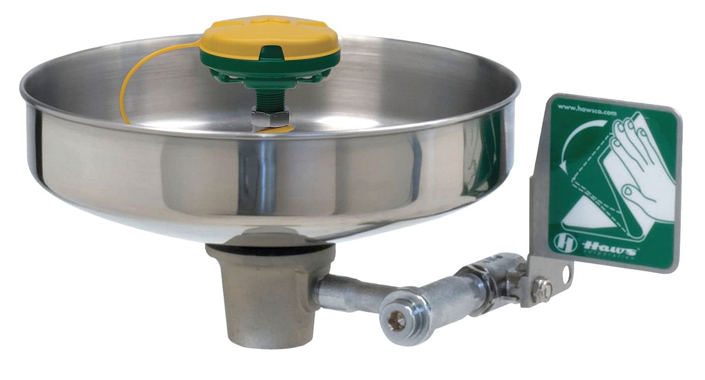 Haws 7460 Unmounted Eye/Face Wash with Axion MSR Eye/Face Wash Head ...