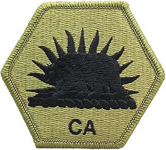 Amazon.com: California CA Letters National Guard OCP Patch (Military ...