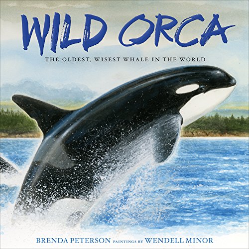 Wild Orca: The Oldest, Wisest Whale in the World: Peterson, Brenda ...