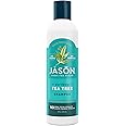 Amazon.com : Jason Tea Tree Shampoo 12 oz : Beauty & Personal Care
