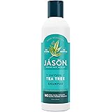 Amazon.com: Jason Natural Cosmetics Tea Tree Oil Shampoo, 17.5 oz ...