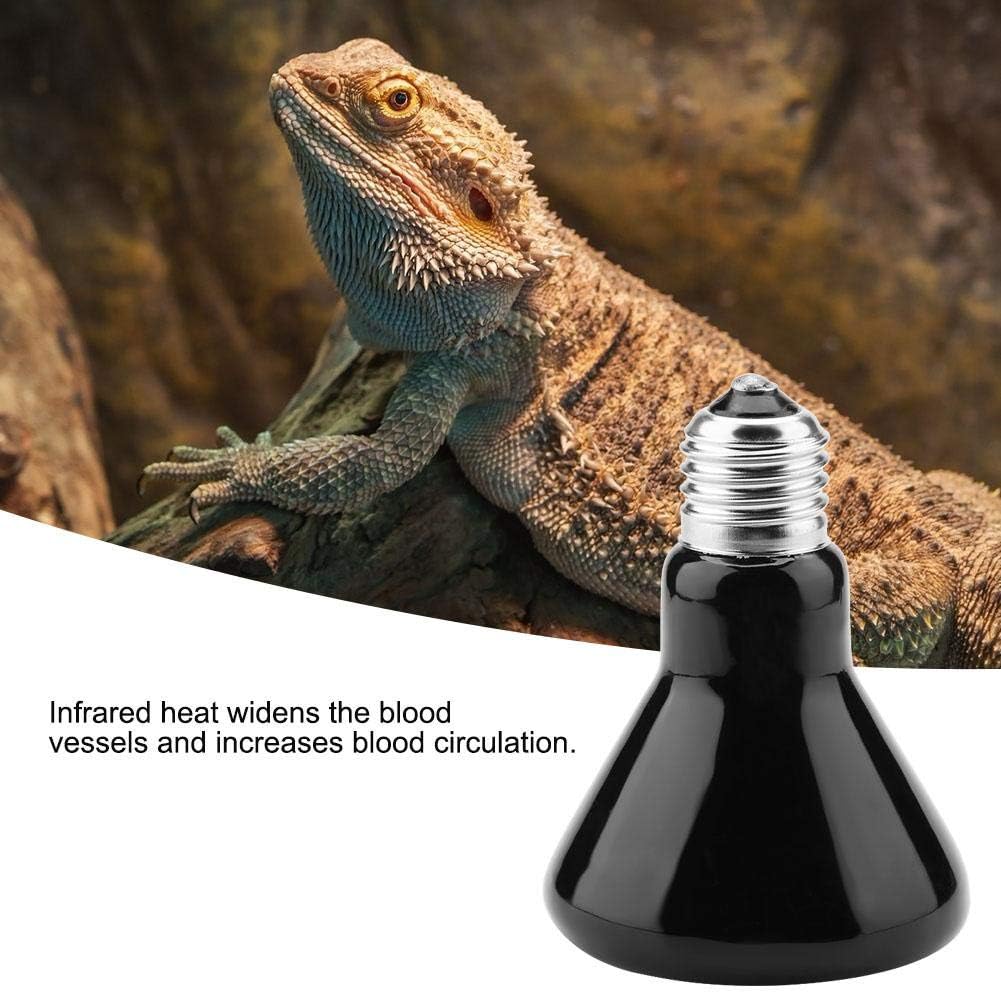 Rettili e anfibi HEEPDD Lampada di Calore in Ceramica Senza Luce a infrarossi Emettitore ...