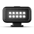 Amazon.com : GoPro Light Mod - Official GoPro Accessory : Electronics