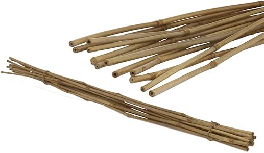 Amazon.com: Bamboo Sticks (Pack of 12): Kitchen & Dining