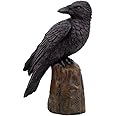 Amazon.com: Black Raven Perched On A Tree Stump Statue Halloween Home ...
