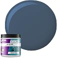 Amazon.com: Beyond Paint All-in-One Refinishing Paint, No Sanding ...