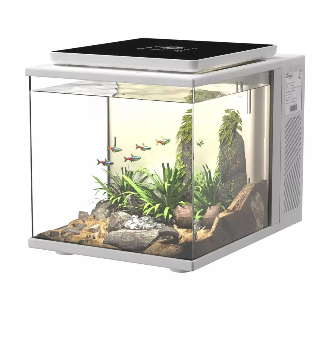 Maxspect Pico Cube Desktop Wi-Fi Enabled 2 Gallon Smart Aquarium Kit ...
