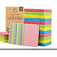 Amazon.com: 12 PCs Compressed Sponges Kitchen Non-Scratch – Highly ...